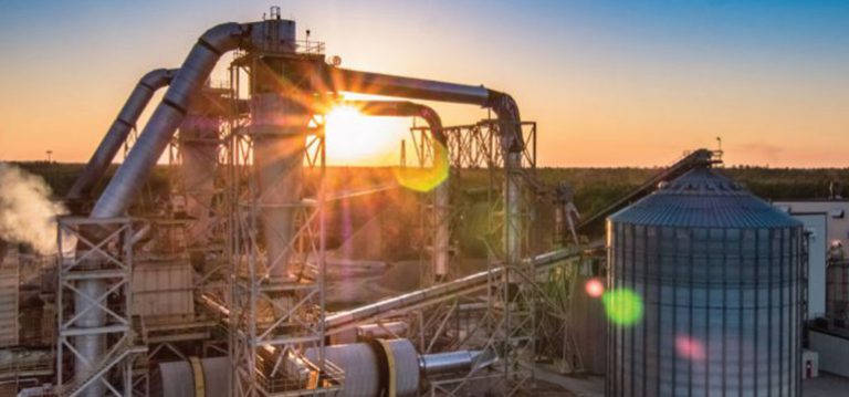 About Us - Enviva Biomass