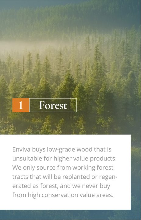 Enviva Biomass