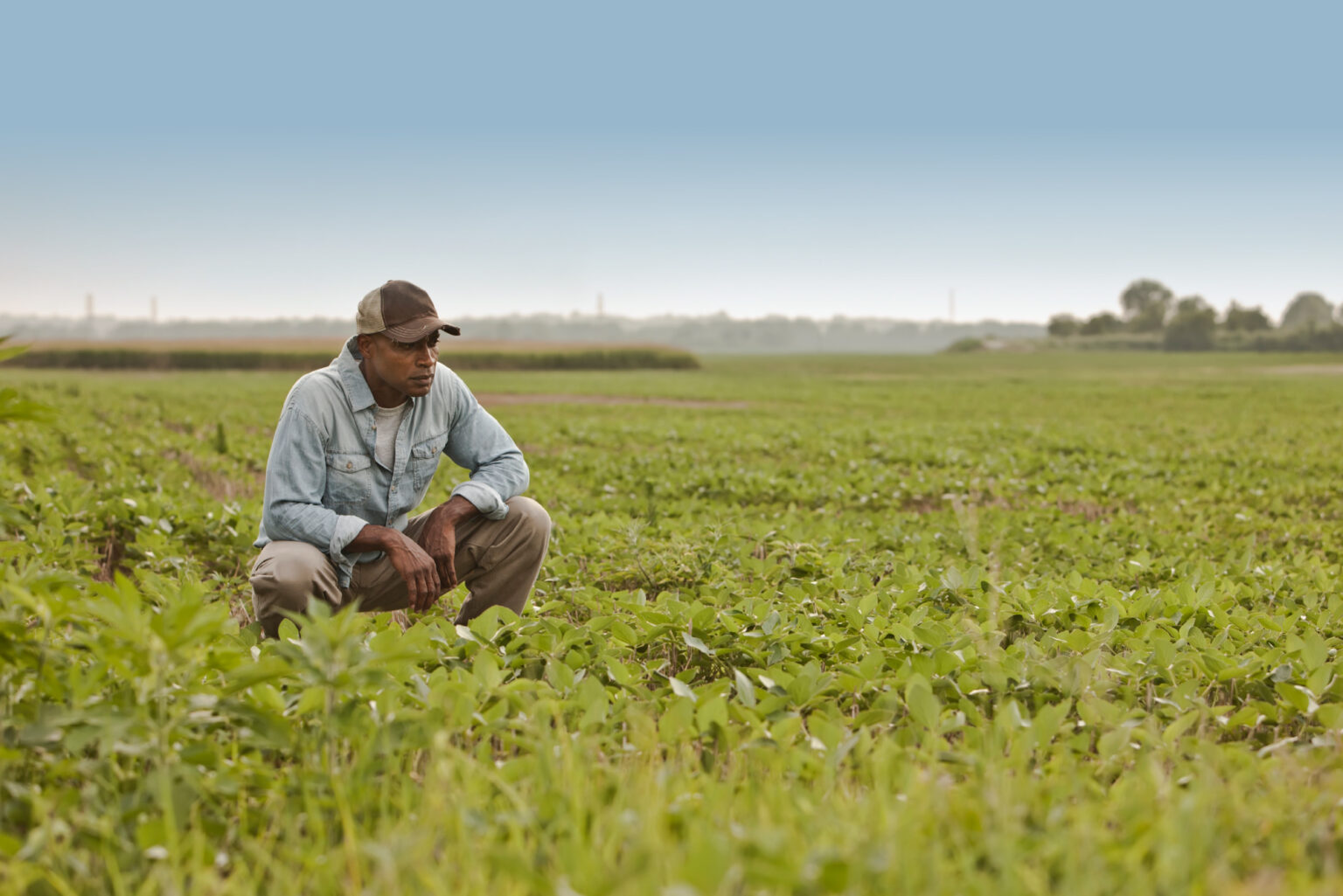 Heirs Property Fund – Enviva Biomass