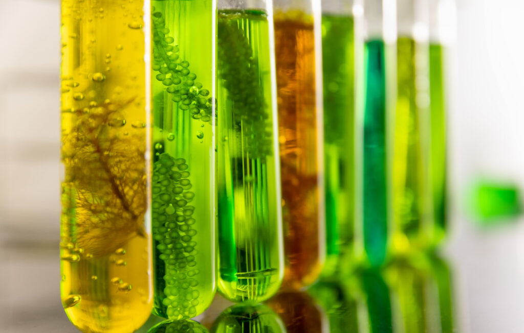 Our Product – Enviva Biomass