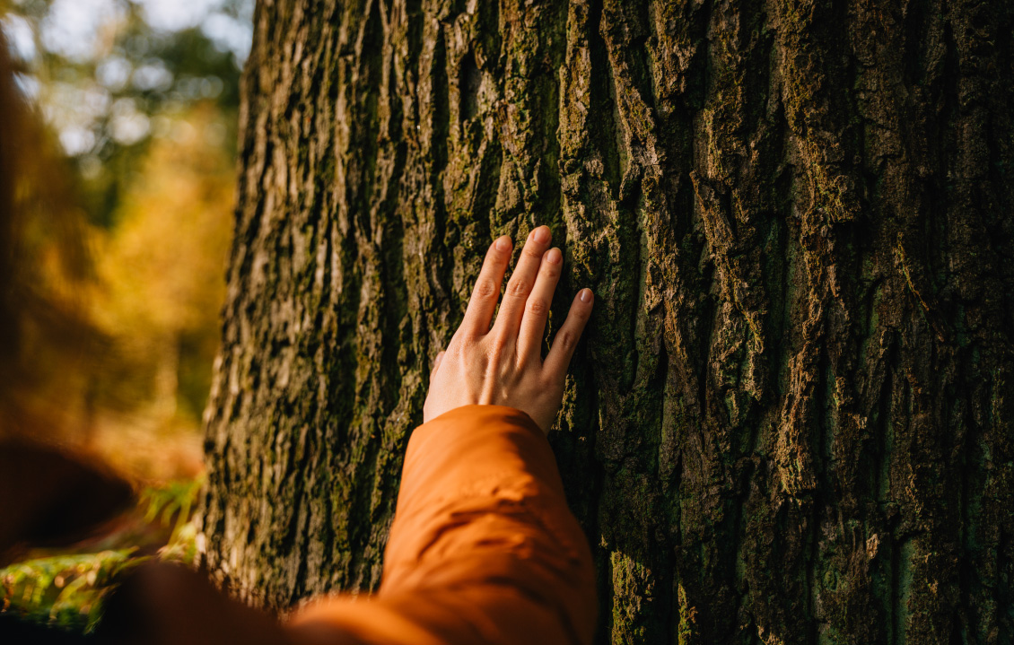 Mitigating Climate Change – Enviva Biomass