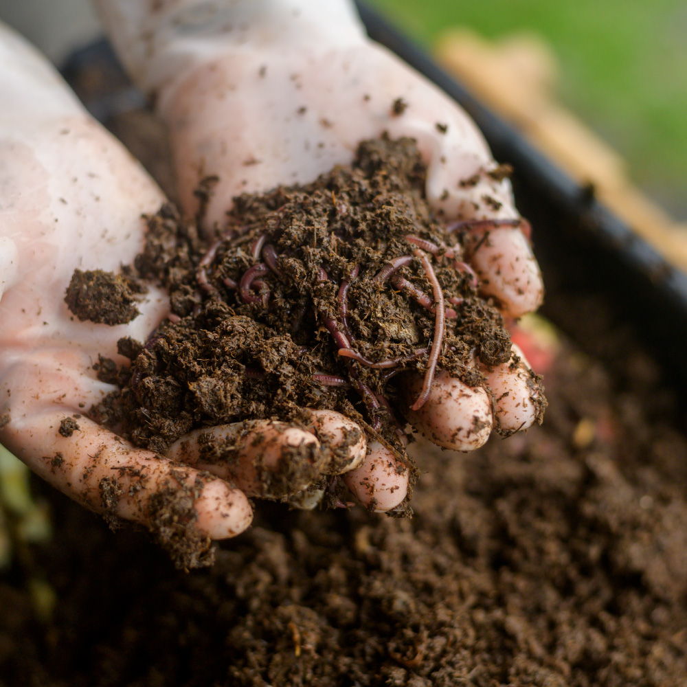 Partners – Enviva Biomass